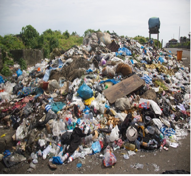 EcoMedia Expresses Deep Concerns Over Garbage Piling & Burning - Global ...